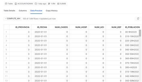 Todos Mis Campos Numéricos Se Cargan Como Decimale Microsoft Fabric Community