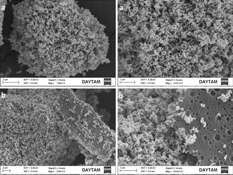 a ZnO NPs SEM image 21 µm b Enzyme ZnONPs SEM image 21 µm Download Scientific Diagram