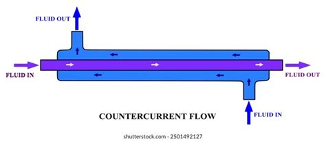 Counter Current Flow Countercurrent Flow Heat Stock Illustration 2501492127 Shutterstock