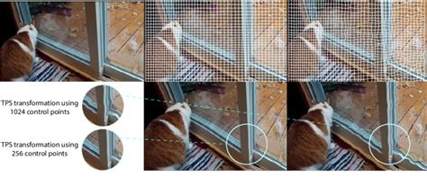 Effect Of The Number Of Control Points On TPS Transformation The Top Download Scientific