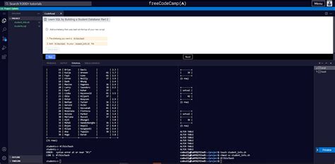 Learn SQL By Building A Babe Database Part Your Script Should Have The Correct Shebang