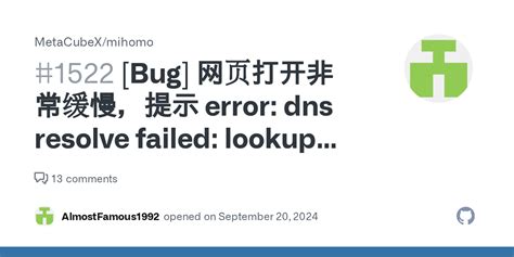 Bug 网页打开非常缓慢，提示 Error Dns Resolve Failed Lookup Io
