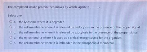 Solved The Completed Insulin Protein Then Moves By Vesicle