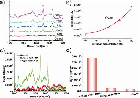 A Dose−response Sers Spectra For Mirna 21 Detection B Plot Of Sers