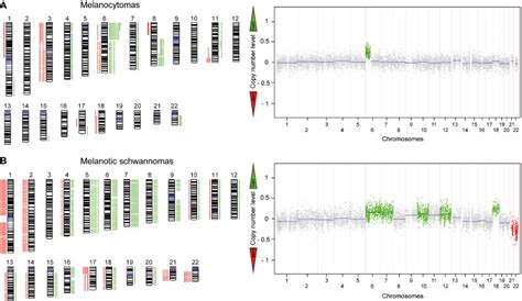 Numerical Chromosomal Alterations In Melanotic Nervous System Tumors