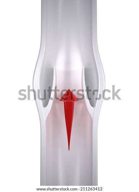 Blood Flow Vein Cross Section Stock Illustration Shutterstock