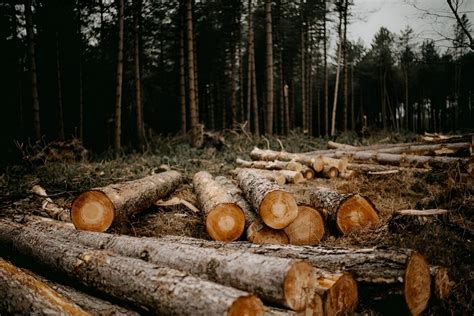 28 Facts About Depletion 28 Facts About Depletion