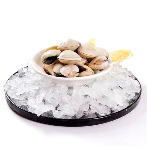 Imported Frozen Pipi Oceania Seafoods Select — Osselect