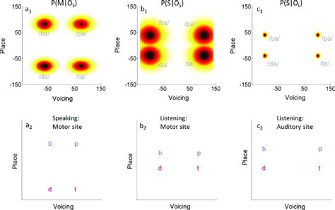 Simulating Neural Activity In Speech Perception And Speech Production