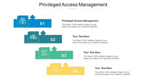 Privileged Access Management Ppt Powerpoint Presentation File Example