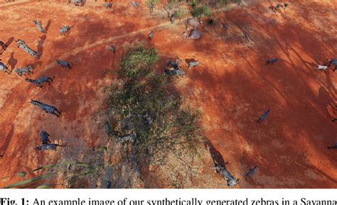 Figure 1 From Synthetic Data Based Detection Of Zebras In Drone Imagery Semantic Scholar