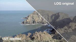 Understanding LOG Video Broadcast Beat