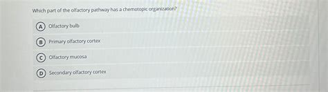 Solved Which Part Of The Olfactory Pathway Has A Chemotopic
