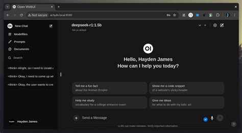deepseek local how to self host deepseek privacy and control
