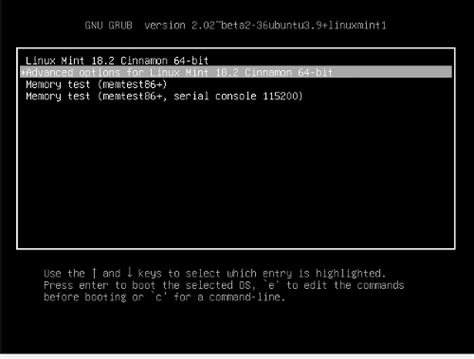How To Install Linux Mint Datamation