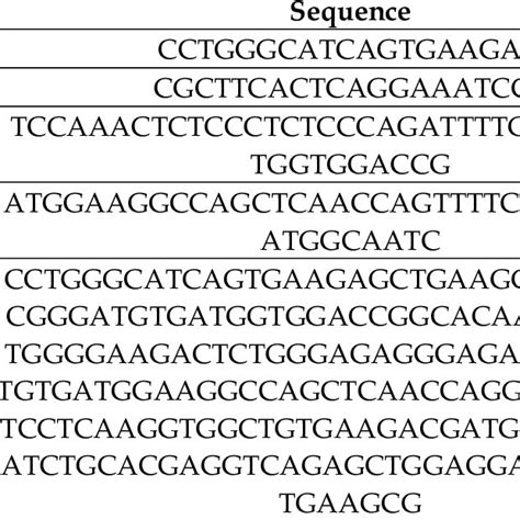 Lamp Template And Primer Sequences Download Scientific Diagram