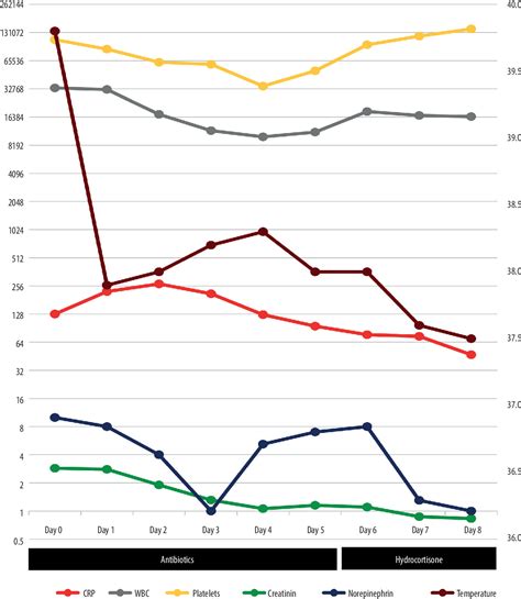 Figure 1 From Nivolumab Induced Cytokine Release Syndrome A Case Report And Literature Review