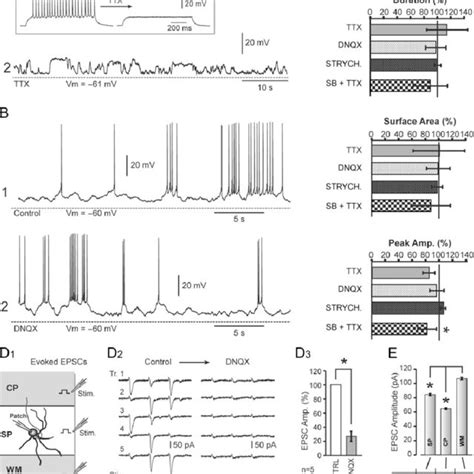Ttx And Synaptic Blockers A Spontaneous Activity Before And After Download Scientific