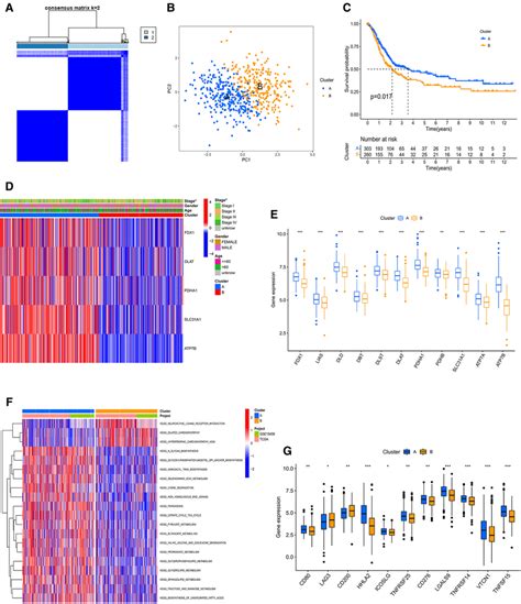 A Consensus Clustering Matrix Defining Two Clusters K 2 B The