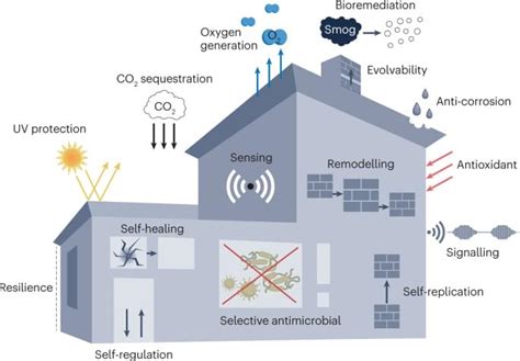 Engineered Living Materials For Sustainable And Resilient Architecture Lifeboat News The Blog