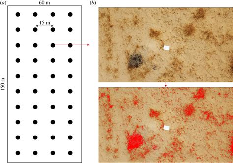 A A Scheme Of A Grid Comprising Stations In A Regular Spatial