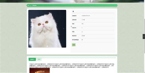 基于pythonflask框架的校园流浪猫管理平台（开题程序论文） 计算机毕设 Csdn博客