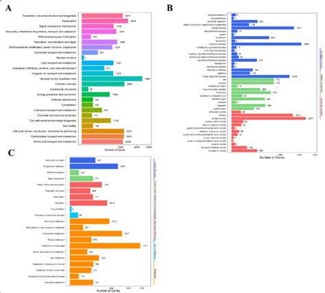 Functional Distribution Of Cog Annotation A Go Annotation B And Kegg
