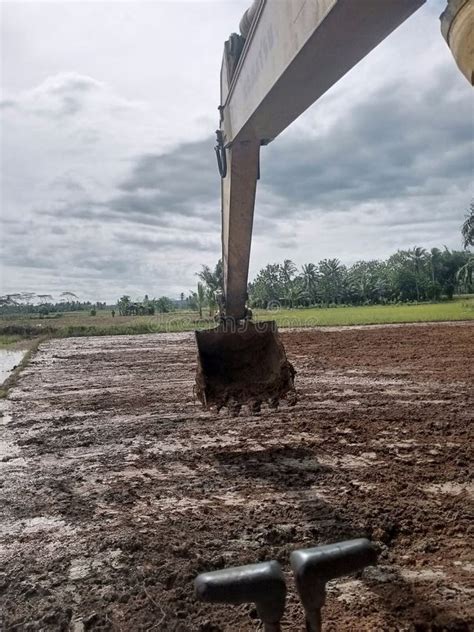 Construction Of Heavy Equipment Paddy Fields In Mud Fields Stock Photo Image Of Paddy