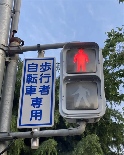 自転車が従う信号は歩行者用か車両用どっち？基本ルールと例外を解説 Cycling Road