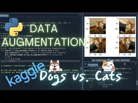Python Data Augmentation Using ImageDataGenerator Tensorflow DataAugmentation Kaggle