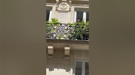 Париж парижанка Соседи Балкон красиво Paris париж Flowers балкон май соседи жизнь Travel