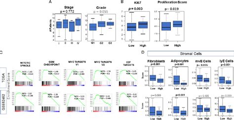 Figure 2 From High Mesothelin Expression In Pancreatic Adenocarcinoma Is Associated With