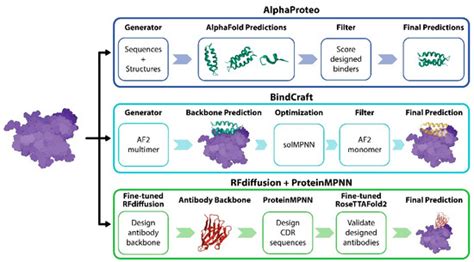 The Application Of Machine Learning On Antibody Discovery And Optimization