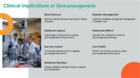 Liver Gluconeogenesis Ppt Information Acp Ppt Slide