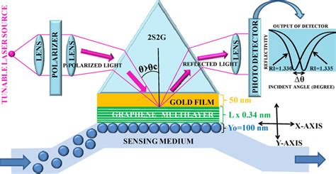 Schematic Diagram Of Experimental Setup For Spr Based Affinity Download Scientific Diagram