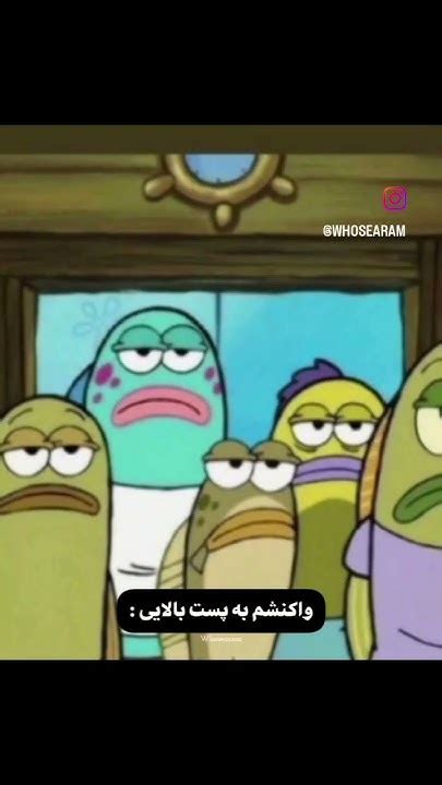 واکنش خانوادم به کارهایی که میکنم باباسفنجی میم Youtube