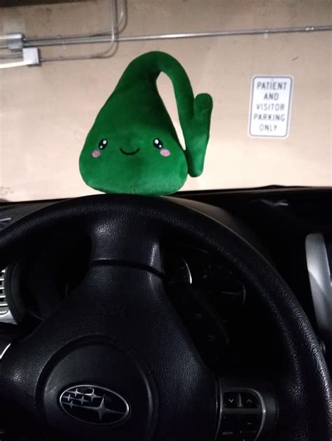 Is Bright Yellow Stool Gallbladder Related R Gallbladders