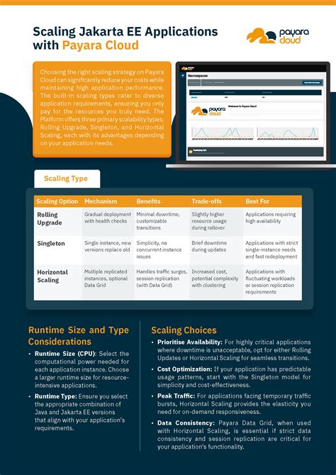 Efficient Scaling With Payara Cloud Brochure On Strategies And Benefits