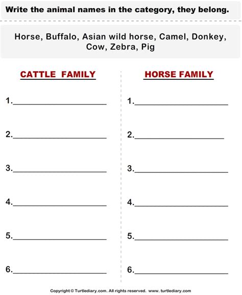 Categorize And Classify Worksheet