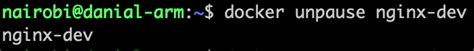 Docker Container Lifecycle Management