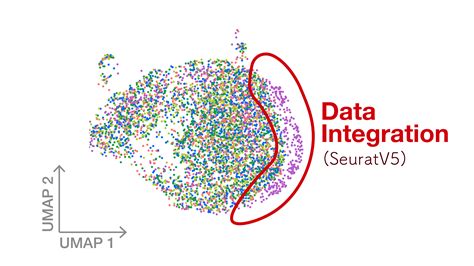 Data Integration With Sctransform Normalized Single Cell Data In Seuratv5 Biologist J