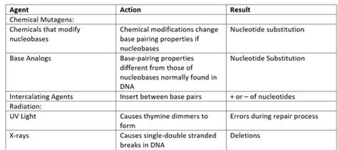 Unit 2 Exam Flashcards Quizlet