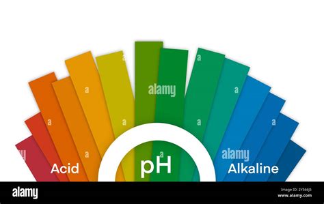 Ph Scale Diagram Ph Scale Vector Graphic Acid To Base Ph Scale
