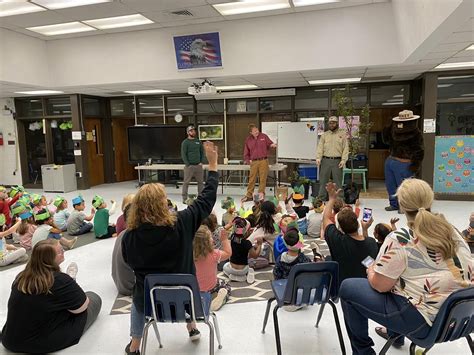 Tree Seedlings For A Greener Tomorrow Tree Topics