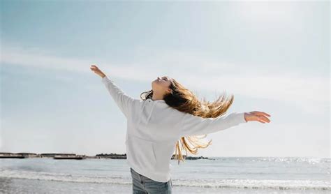 Boosting Life Quality Nobullswipe A Comprehensive Technical Guide