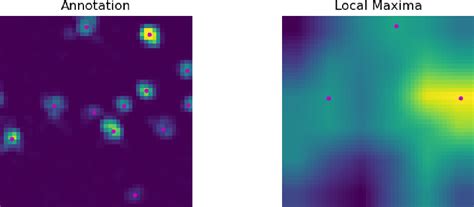 Figure 1 From Quantification Of Dna Nanoballs Using Image Processing Techniques Semantic Scholar