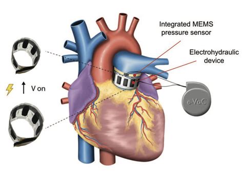 Publications — Healthcare Robotics Lab Snu