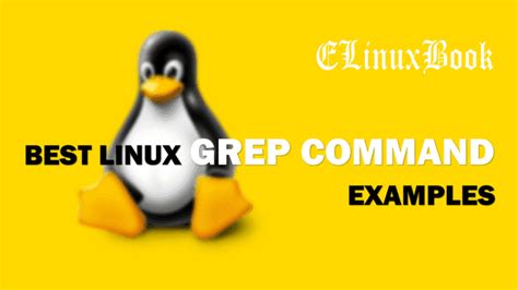 Grep Usage In Linux Veripikol