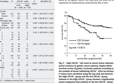 Correlation Of Cd11b Expression With Clinicopathologic Characteristics