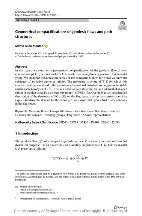 Geometrical Compactifications Of Geodesic Flows And Path Structures